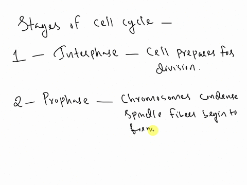 Comprehension Check 1. Arrange the following stages of cell division in ...