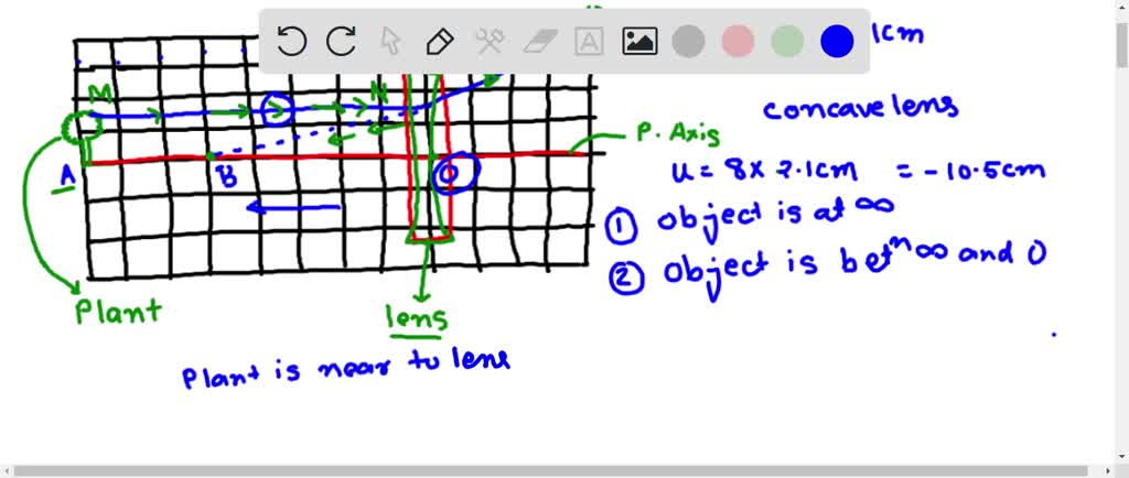 SOLVED: The figure (Figure 1) shows a small plant near a thin lens. The ... SOLVED: The figure (Figure 1) shows a small plant near a thin lens. The ...