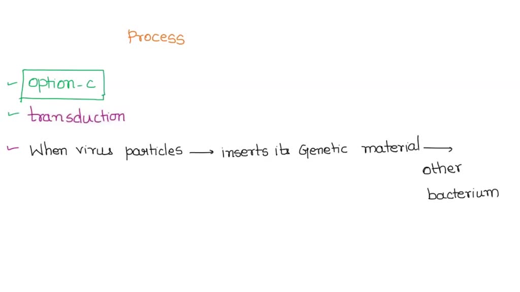 SOLVED: How do you call the process shown in the figure below? A ...