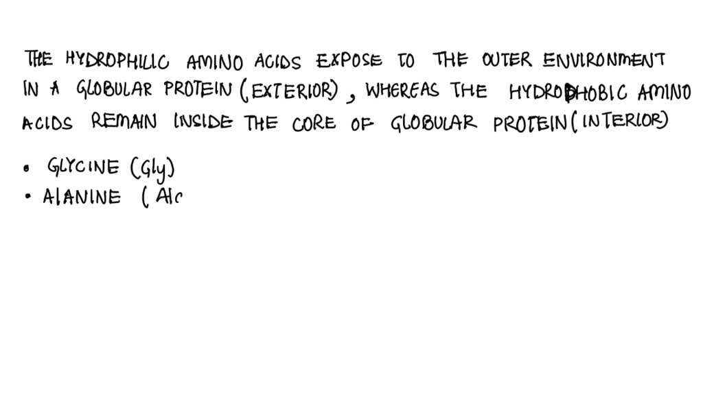 SOLVED: Amino Acid Localization in Proteins. Amino acids tend to be ...