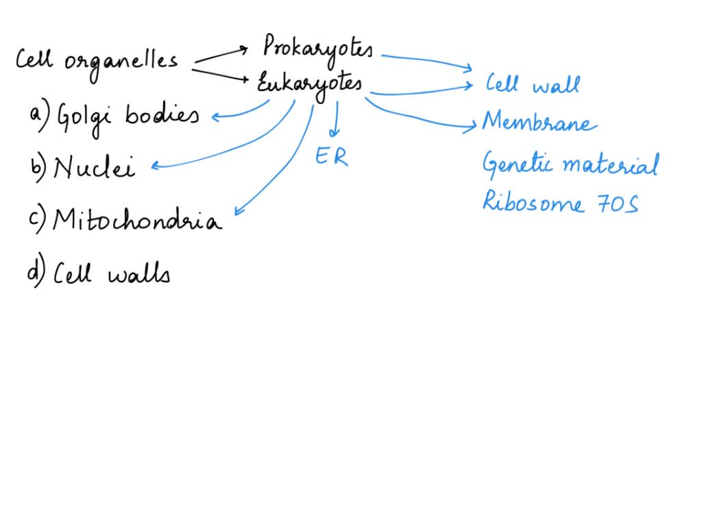 SOLVED: All cells contain . Select one: a. cell walls made of cellulose ...