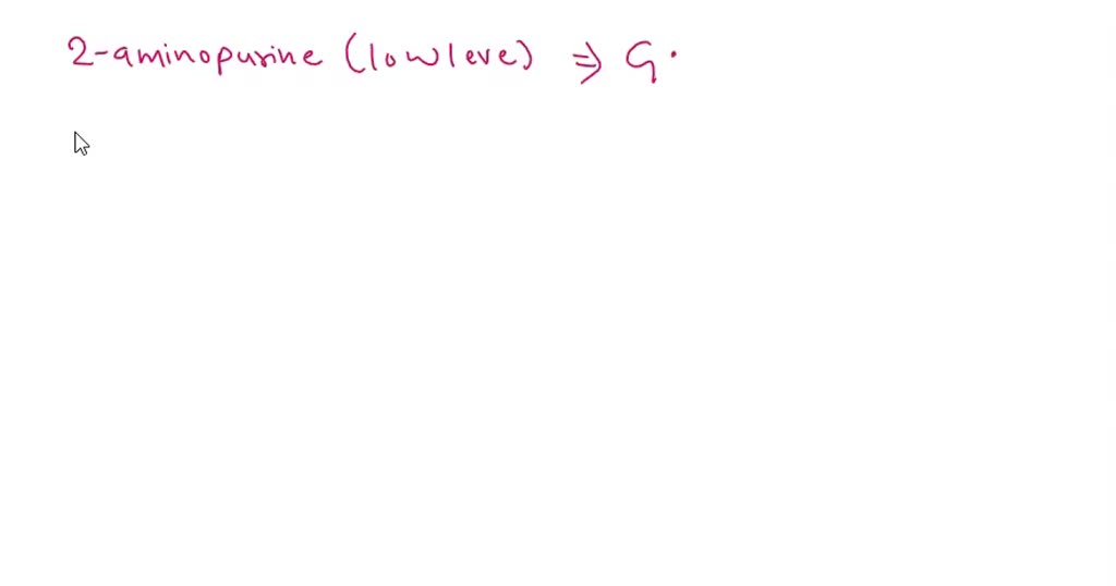 Solved Which Dna Mutating Factors Cause Only Transition Mutations Which Cause Both Transition