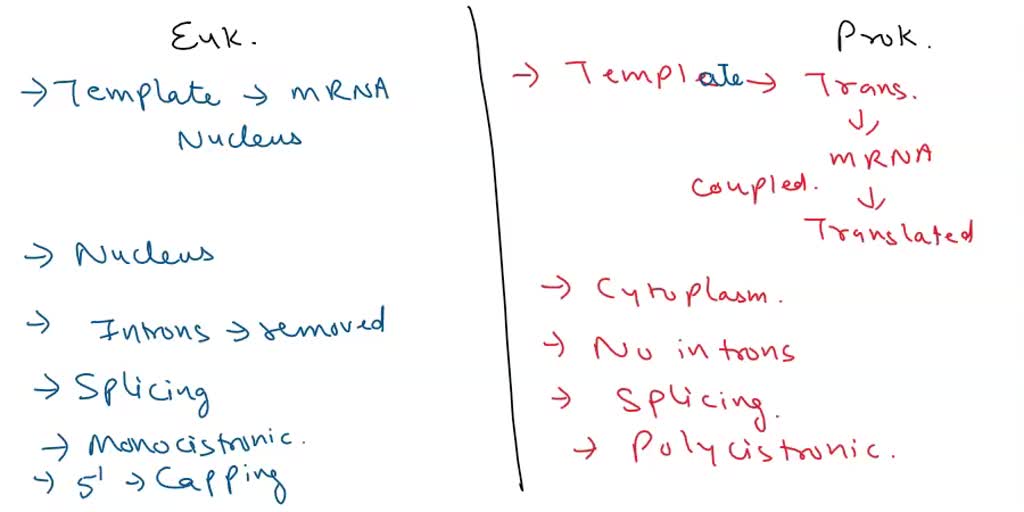 SOLVED: Distinguish major points of difference between prokaryotic and ... SOLVED: Distinguish major points of difference between prokaryotic and ...