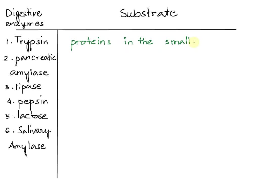 SOLVED: Match the following digestive enzymes with the substrates: Drag ...