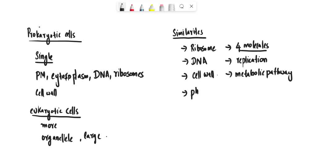 SOLVED: 'Identify the two basic types of cells: prokaryotic and coccus ...