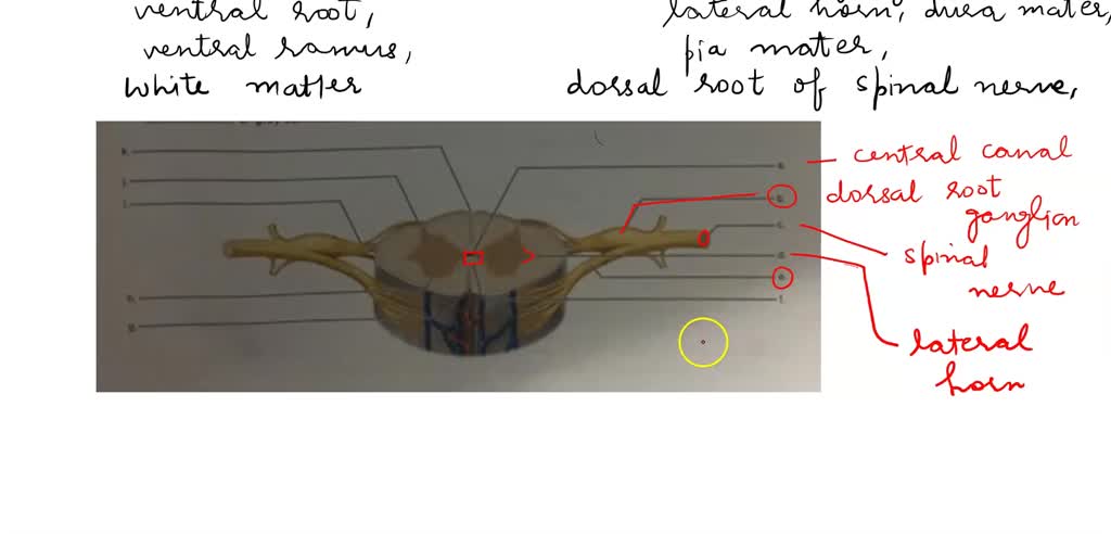 SOLVED: I just need number one. I need to fill in the blanks. 419. It ...