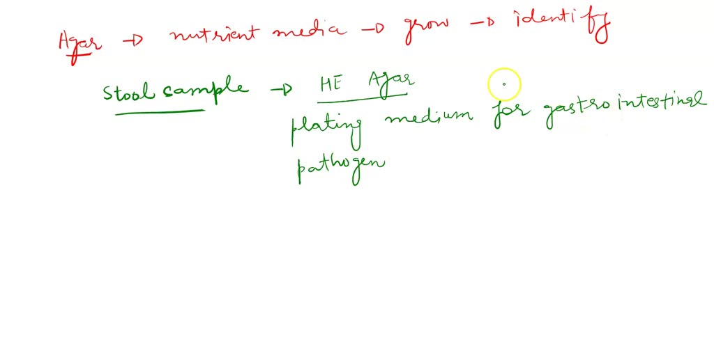 SOLVED: Sample information The sample information states: Sample: Stool ...