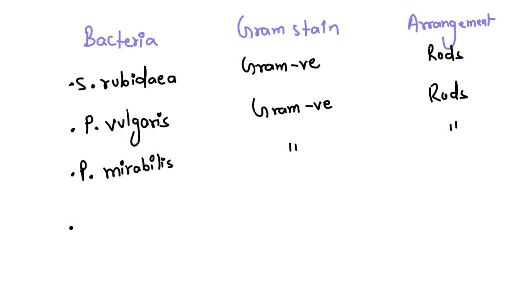 SOLVED: what gram bacteria and arrangment of Serratia rubidaea, Proteus ...