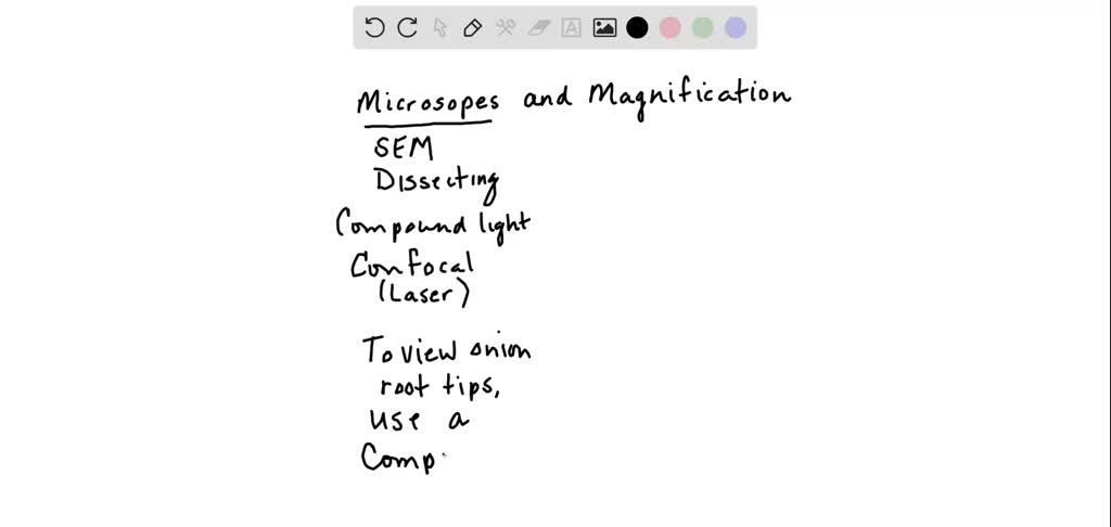SOLVED: What type of microscope was used to collect the images of the ...