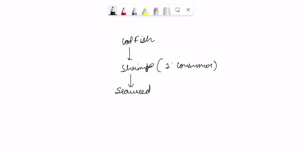 SOLVED: What is the role of the cod fish in the energy pyramid shown ...
