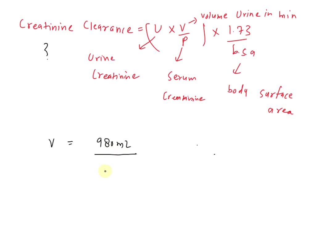 SOLVED: Calculate the estimated creatinine clearance for a 68-year-old ...