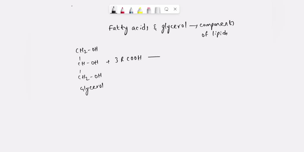 SOLVED: lipases are essential to breaking down triglycerides into ...