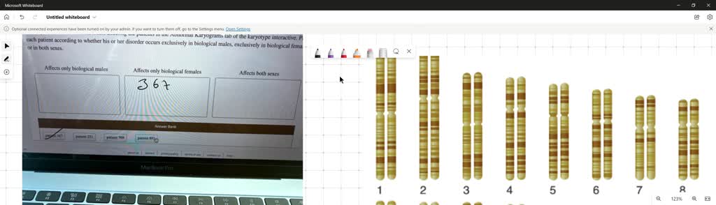 SOLVED: Use the karyotype lab to answer the following question. Identify the chromosomal ...