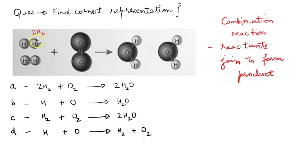 SOLVED: In the image, which chemical equation is the correct ...