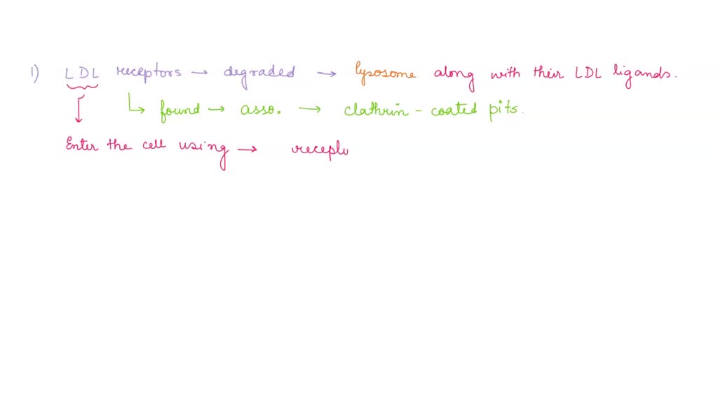 SOLVED: Titlewithtopic: "Expression Patterns of the eve Stripe 2 Reporter Gene in the Drosophila ...