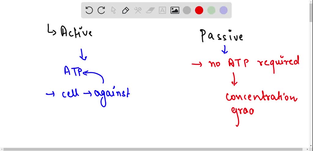 SOLVED: Distinguish between active and passive transport. Make sure to ... SOLVED: Distinguish between active and passive transport. Make sure to ...