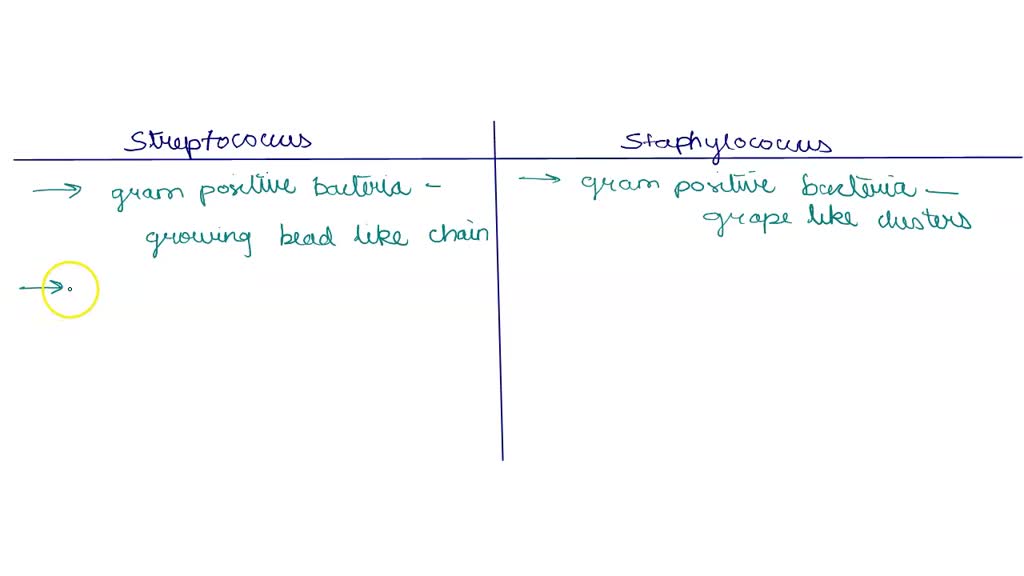 SOLVED: Differentiate between Streptococcus pneumoniae, Staphylococcus ... SOLVED: Differentiate between Streptococcus pneumoniae, Staphylococcus ...