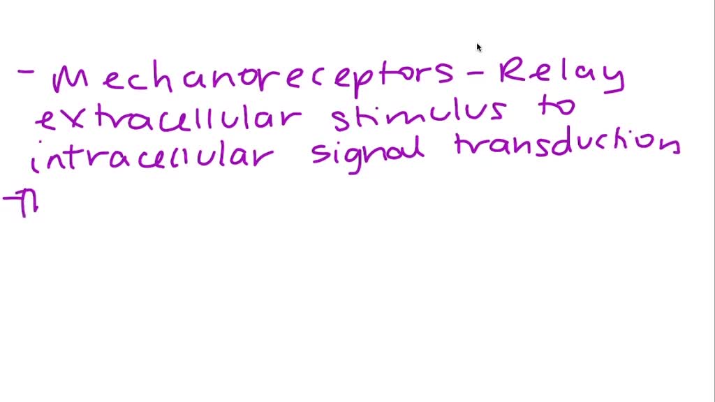 SOLVED: Name the 5 receptor types and their adequate stimulus ...