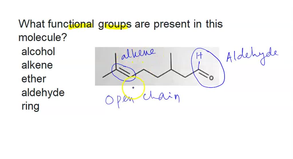 SOLVED: Which functional groups are presented in the following molecule ...