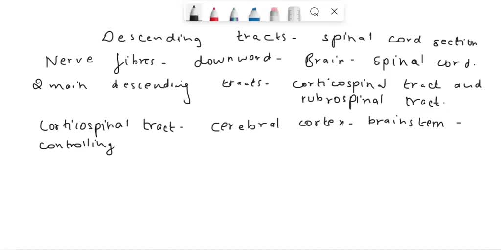 SOLVED: Part A: Trace the labels to identify descending tracts in a ...