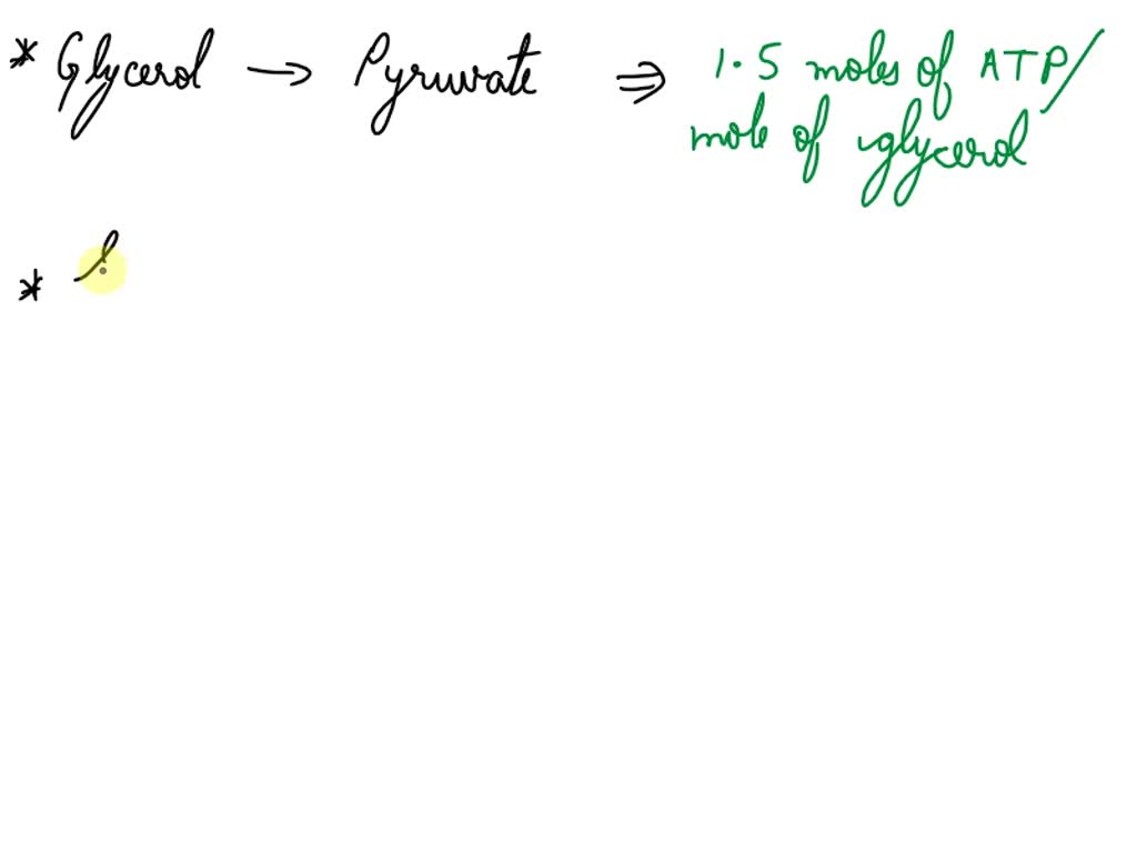 SOLVED: What is the net yield of ATP per mole of glycerol converted to ...