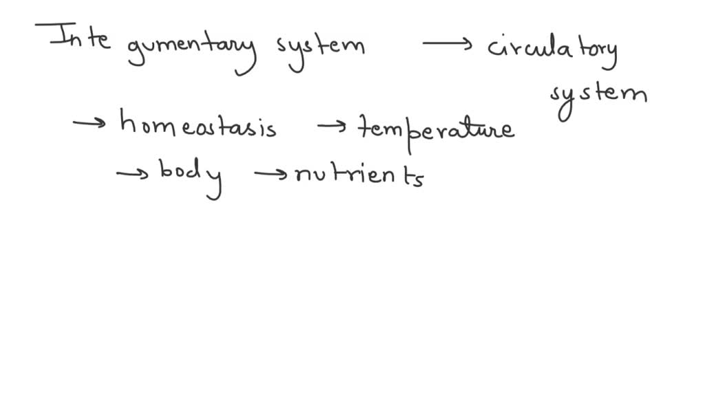 SOLVED: Explain how the integumentary system (organ system consisting ...