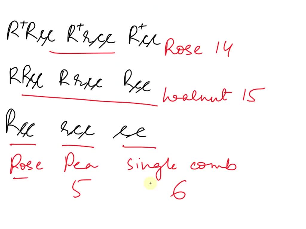 SOLVED: 4.18 Rose-comb chickens mated with walnut-comb chickens ...
