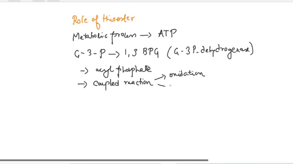 SOLVED: In glycolysis, what role does a thioester play in the formation ...