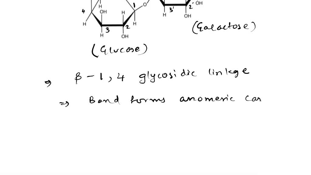 SOLVED: 9.12 Carbohydrates: Draw the structures of the two products ...