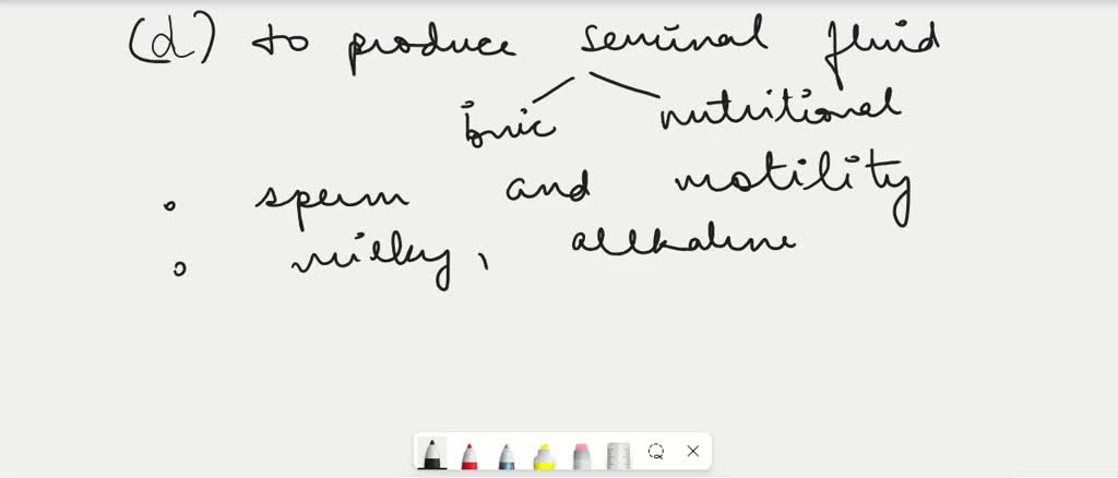 SOLVED: The function of the prostate gland is? A. To produce a fluid ...