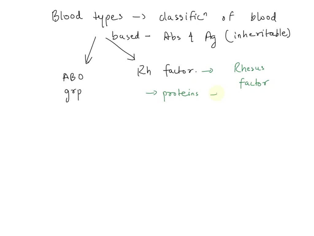SOLVED: What is the difference between A+ blood type and A- blood type ...