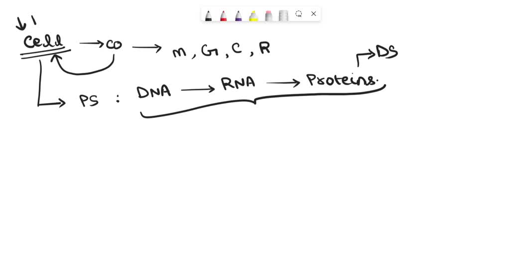 SOLVED: A potential risk factor of Gene Doping is - Acne - Increased ...
