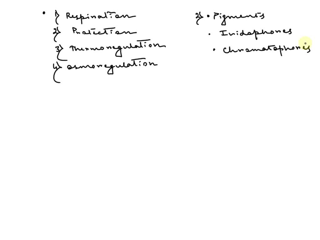 SOLVED: Amphibians Frog skin slide: Identify and label the epidermis ...