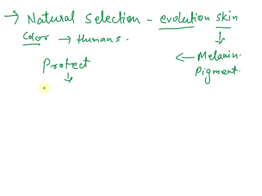 SOLVED: The phases of human development are biologically defined. How ...