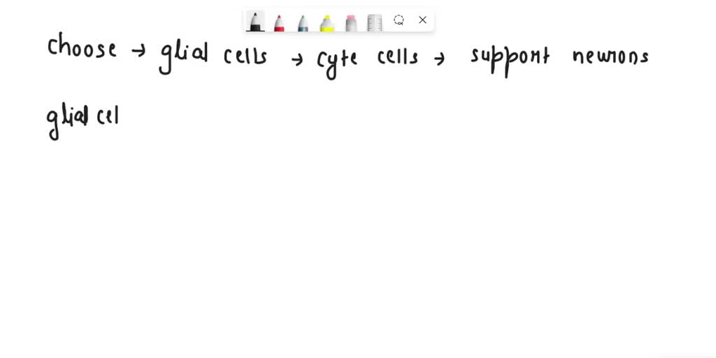 SOLVED: Chaos glial cells cyte cells Choose support = neurons blast ...