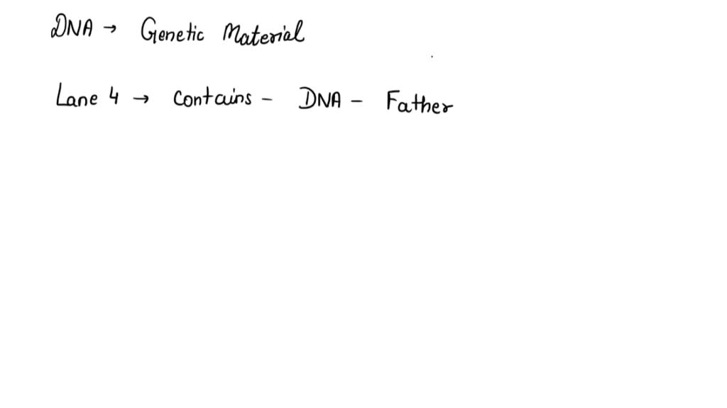 SOLVED: 'Results from single locus probe DNA fingerprint analysis for a ...