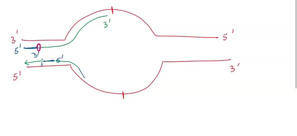 SOLVED: 3) What is an interface and an interphase? 4) Explain different ...