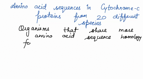 Ahino acid sequences in cytochrome proteins from 20...