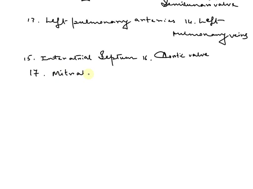 SOLVED: Label the anatomy for both figures, please. Now available in ...