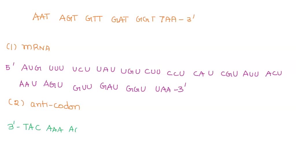 SOLVED: 5'-ATG TTTTCT TAT TGT CTT CCT CAT CGT ATT ACT AAT AGT GTT GAT ...