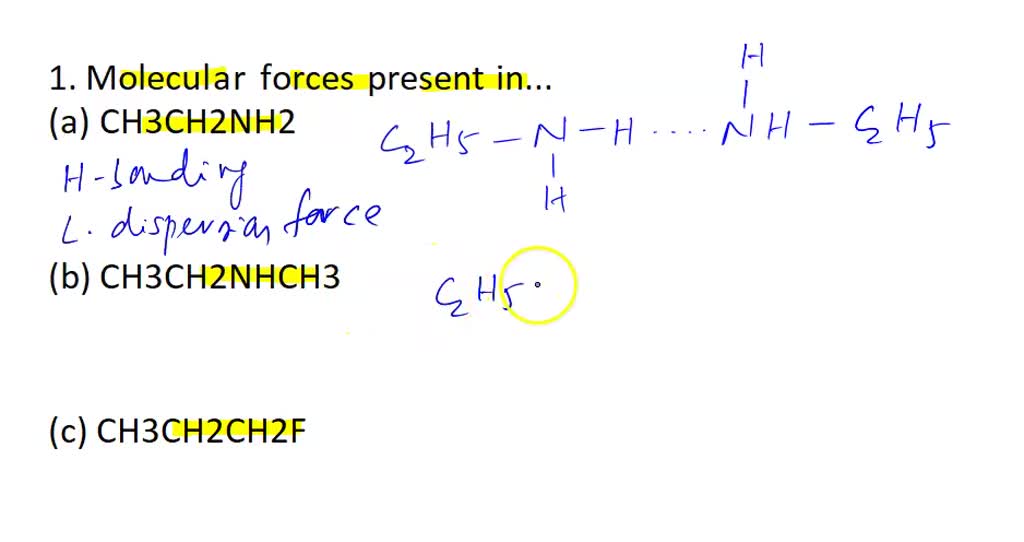 SOLVED: 1. Molecular forces present in... (a) CH3CH2NH2 (b) CH3CH2NHCH3 ...