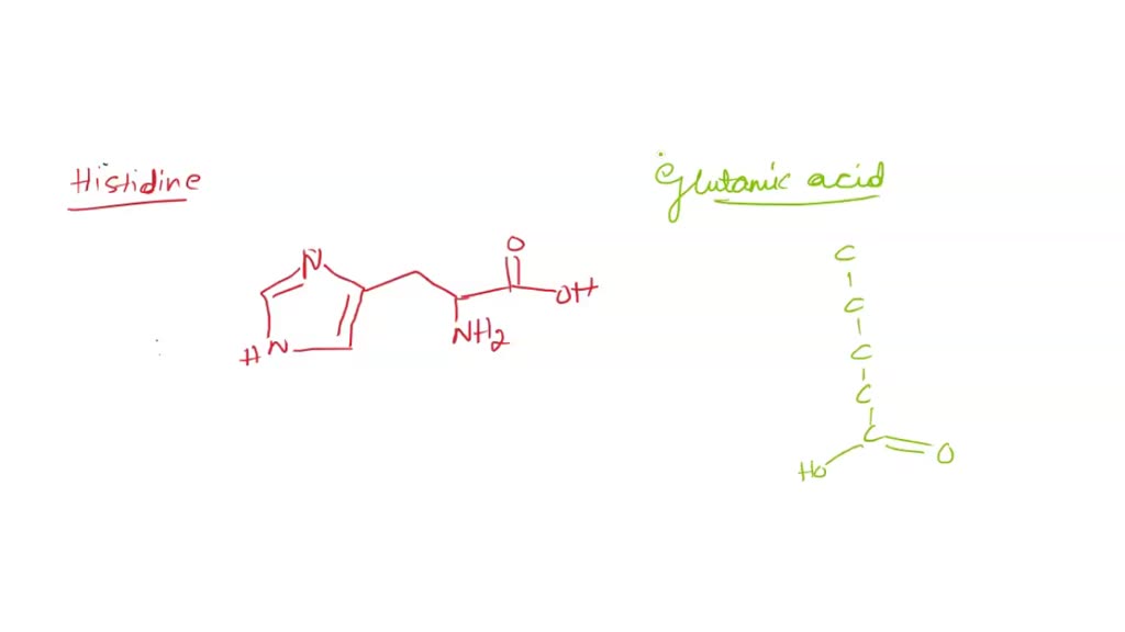 SOLVED: The pl is called The rule of calculating pl of an amino acid is ...