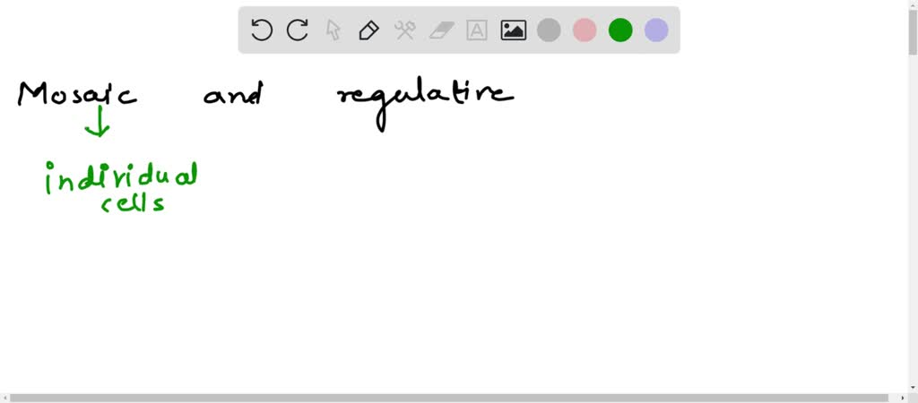SOLVED: The difference between mosaic and regulative development was an ...