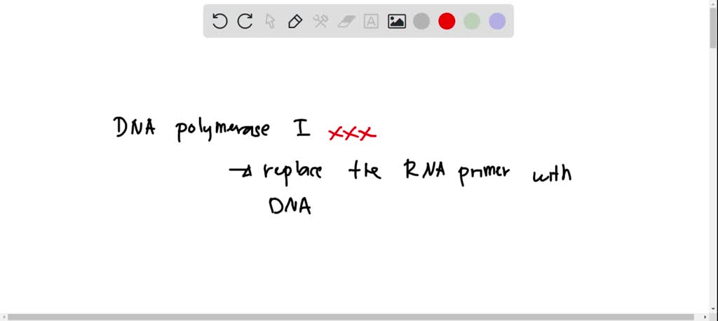 SOLVED: Ifa deletion occurs in a gene that encodes DNA polymerase and ...