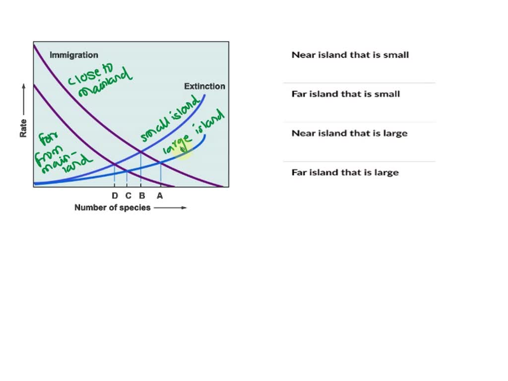 SOLVED: The graph below is based on a specific theory.What is its name ...