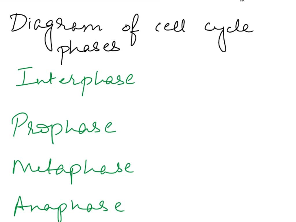 Part A - Events of Mitosis Drag the labels of Group 2 to their ...