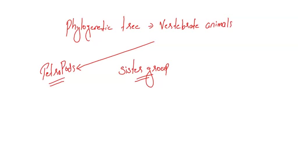 SOLVED: Figure 23.2 below represents a phylogenetic tree of the ...