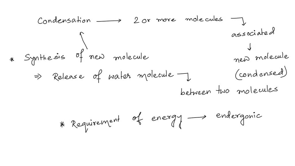 SOLVED: Which of the following is true about condensation reactions ...