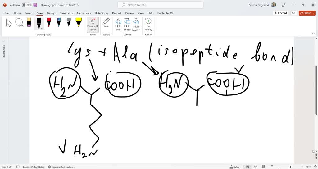 SOLVED: Draw the structure of Lys and Ala linked by an isopeptide bond.