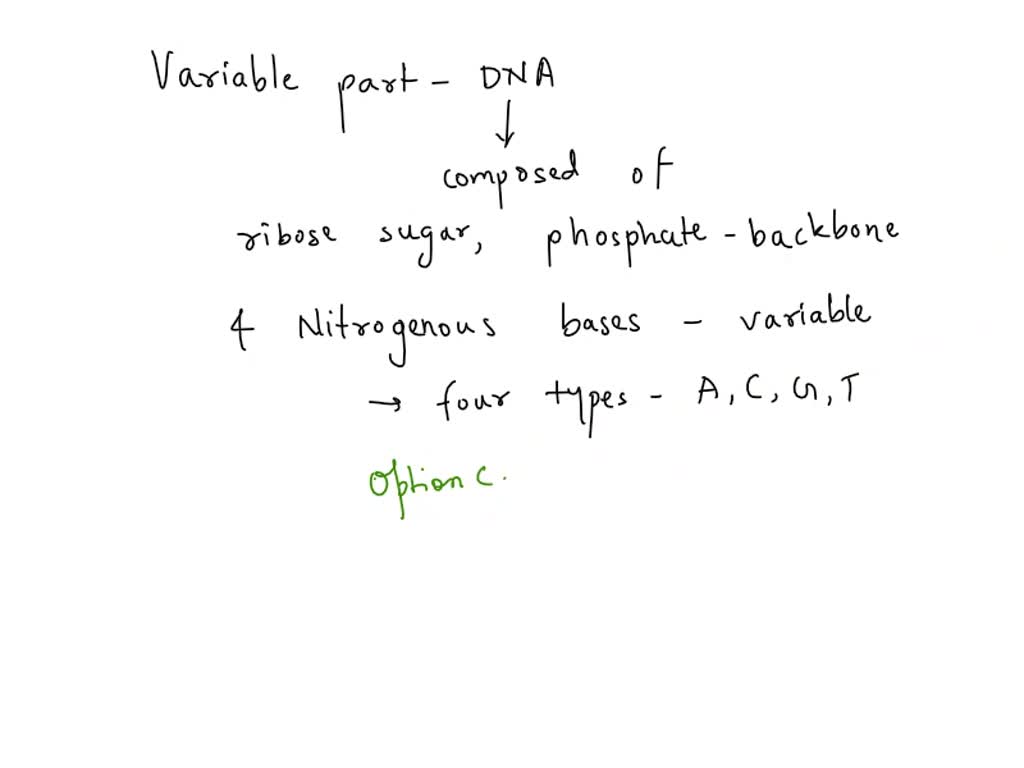 SOLVED: 25. The variable portion of DNA is the sequence of phosphoric acids sugars bases ...